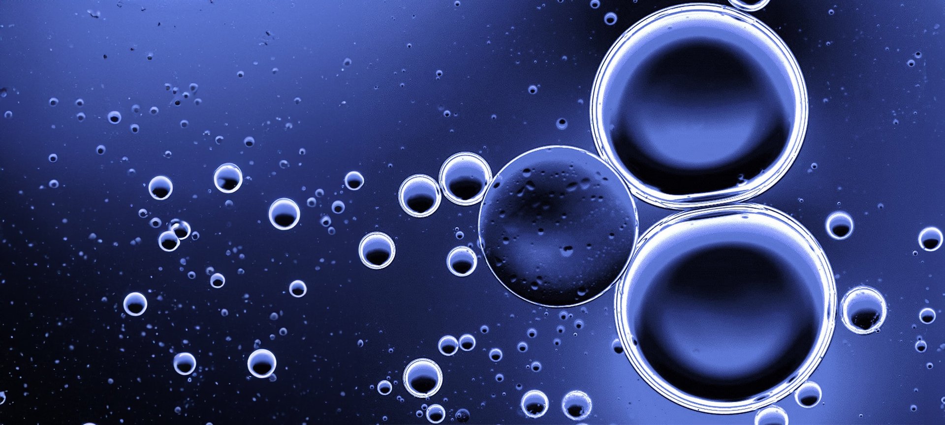 Butterfly Cut: Die Trendfrisur aus den 90's | L’Oréal Paris